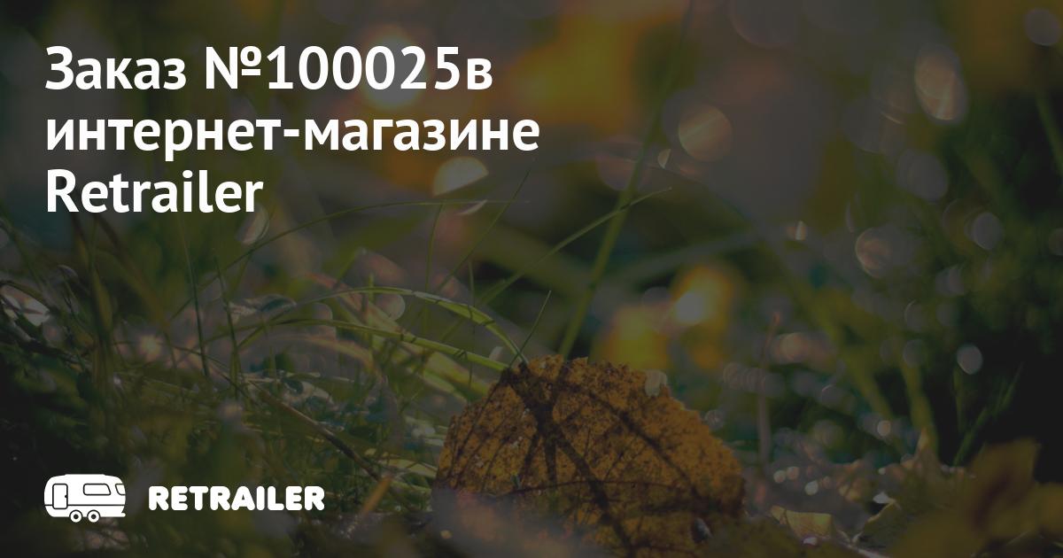 Заказ №100025 от 30 марта 2025 г. 11:56:52 • Retrailer