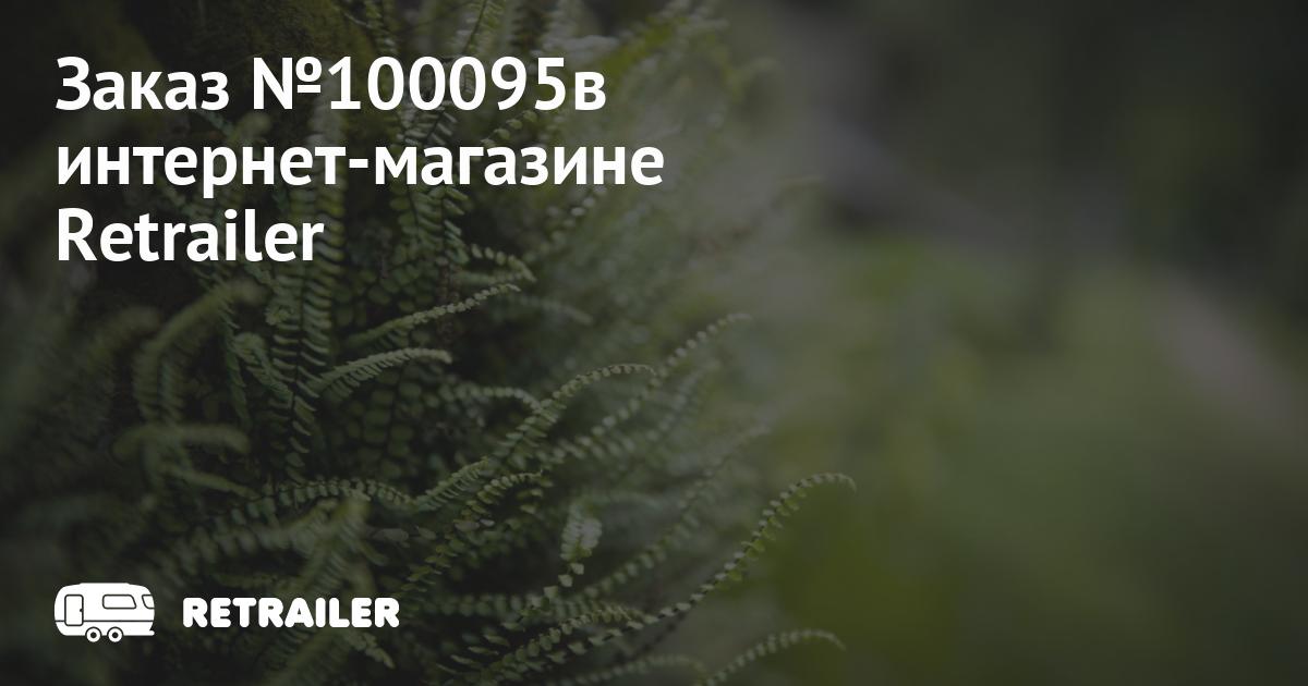 Заказ №100095 от 31 марта 2025 г. 22:37:46 • Retrailer